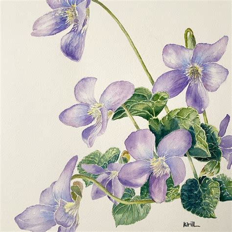 Violet Watercolor Etsy
