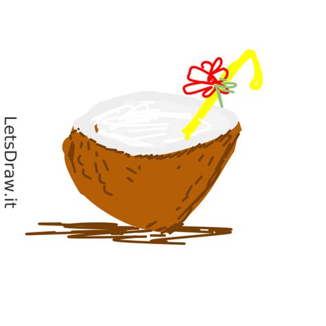How To Draw Coconut Xo Dfri Png LetsDrawIt