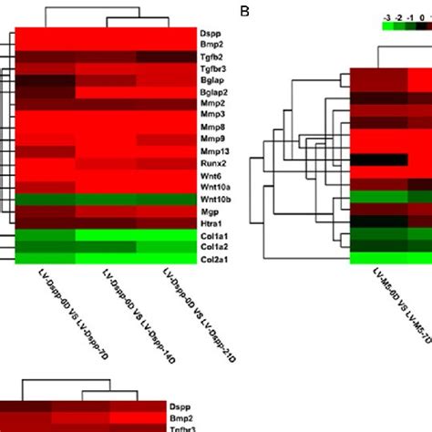 Heat Map Of Selected Identified Genes P0 05 Hierarchical Clustering