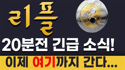 리플 지금 바로 보셔야 합니다 리플리플코인리플속보 Youtube