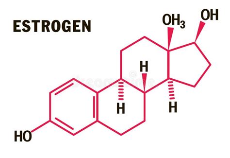 Estrogen Hormones Molecular Formula Estrogen Hormones Symbol Sex