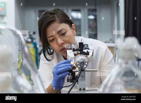 Attractive Female Scientist Testing Using Microscope To Test For Dna Attractive Female Scientist Testing Using Microscope To Test For Dna