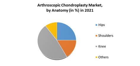 Arthroscopic Chondroplasty Market Industry Analysis And Forecast
