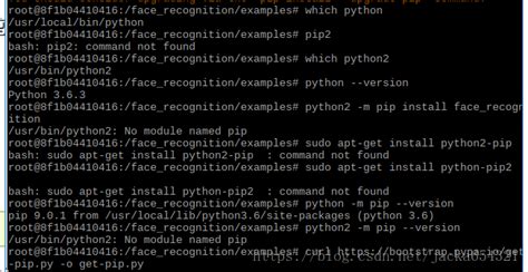 默认python3版本，python2没有pip2模块，解决方案无pip2 Csdn博客