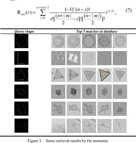 Figure 3 From Marine Phytoplankton Recognition Using Hybrid Classification Methods Semantic