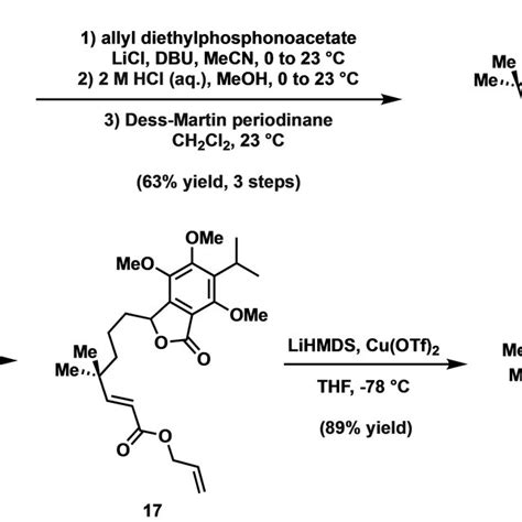 Scheme 4 Modified Synthetic Route To Allyl Ester 18 Download Scientific Diagram