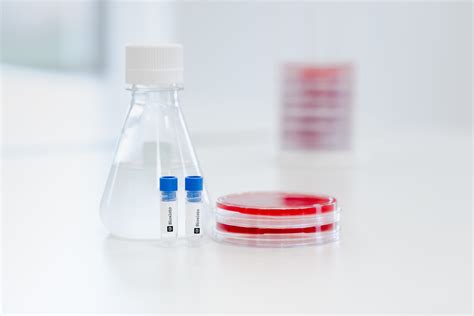 Spore Analysis How The Heat Treatment Van Effects The Analyses • Biosistostandard