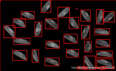 【图像处理】——实现二值图像的轮廓边界跟踪以及轮廓面积周长的求解（connectedcomponentswithstats函数和connectedcomponents函数）有情怀的