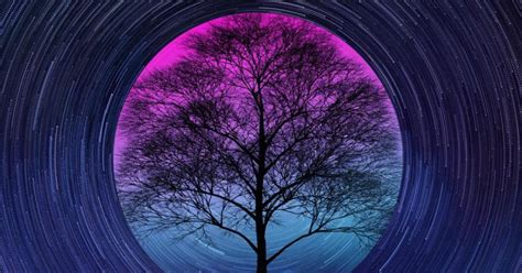 Complete Guide To Distributed Tracing Donald Lutz