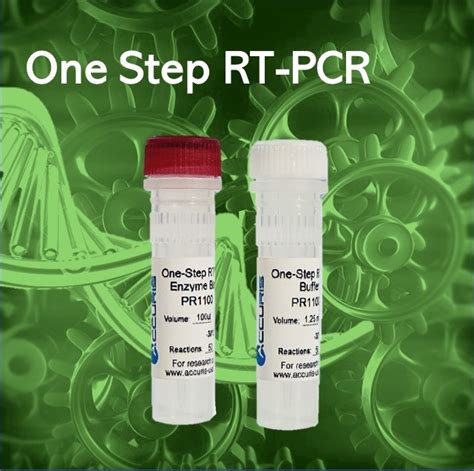 End Point Pcr Reagents Accuris Instruments