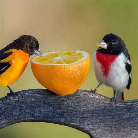 Gain Knowledge Gain Maths Youtube