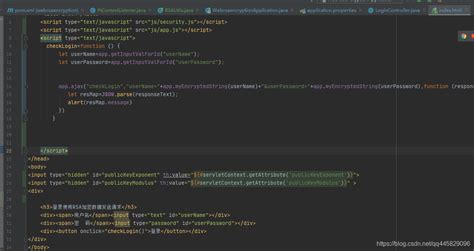 Web网站javascript前端加密，后端解密，防止明文传输web登录密码禁止明文传输 Csdn博客