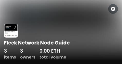 Fleek Network Node Guide Collection Opensea