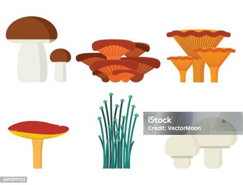 대 한 버섯 요리 음식 및 독성 자연 식사 채식 건강 한가 식용 균 류 유기 식물성 원료 성분 벡터 일러스트 레이 션 가을에