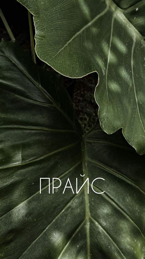 Таня Блажко закохую в йогу 16 років тазова фея Чернівці Дніпро СПРОБУЙ ️‍🔥 але спочатку