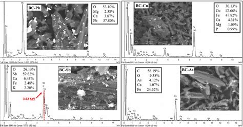 Sem Images And Edx Spectra And Elemental Composition Relative To Download Scientific Diagram