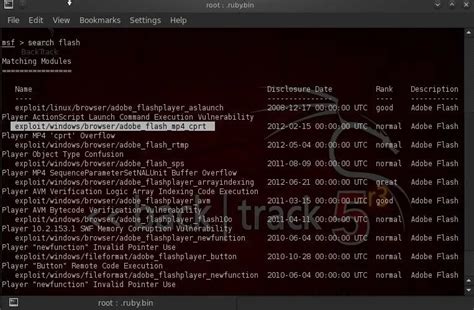 Hack Like A Pro How To Exploit Adobe Flash With A Corrupted Movie File