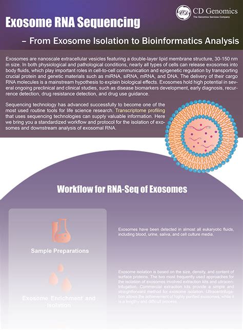 Rna Seq Of Exosomes Exosome Rna