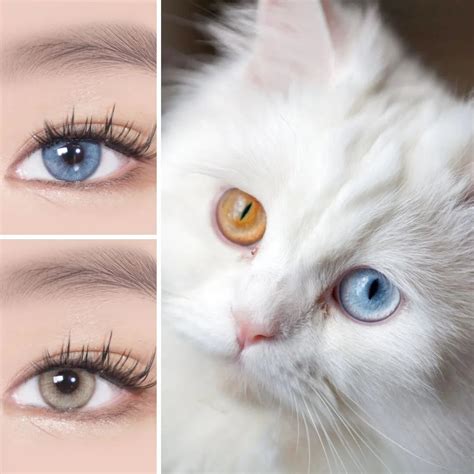 Understanding Astigmatism How It Affects Your Perception Of Lights Eyecandys