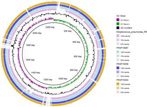 一文了解细菌基因组的比较基因组测序 知乎