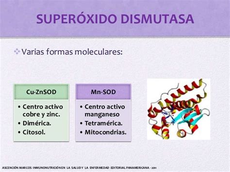Antioxidantes