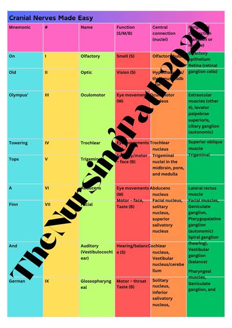 Cranial Nerve Functions Chart With Bonus Note Page Fun Mnemonic Educational Decorative Poster