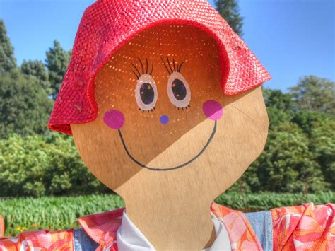 Scarecrow Free Stock Photo Public Domain Pictures