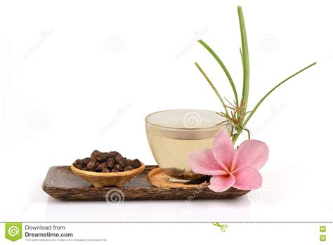 Nut Grass Coco Grass Cyperus Rotundus L Royalty Free Stock Image