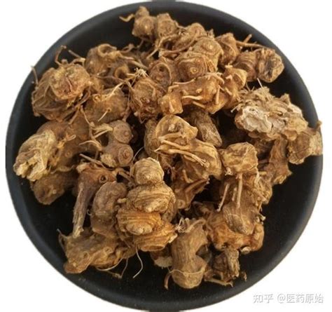 带你识别八角莲 知乎