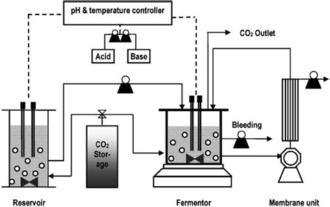 Batch Vs Fed Batch Vs Continuous Culture