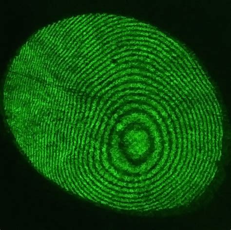 Birefringence Pattern For The 2a5cp5s Crystal Download Scientific Diagram