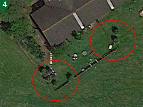 Bamboo Removal Case Study Excavation And Removal Cornwall Southwest Knotweed