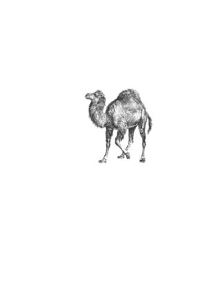 Perl Programming Language PDF Programming Languages Computing