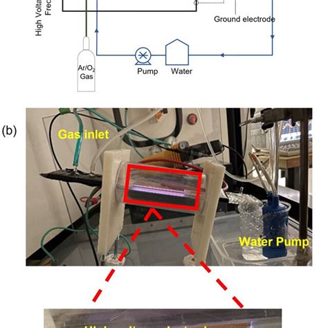 A Schematic Diagram Of Paw System And B Paw Experimental Setup