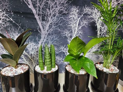 아무리 생각해도 남편이 결혼을 잘했다고 생각하는 유부녀 볼텍스 게이밍