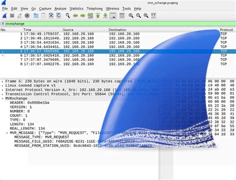 Tutorial Lengkap Penggunaan Wireshark Windows
