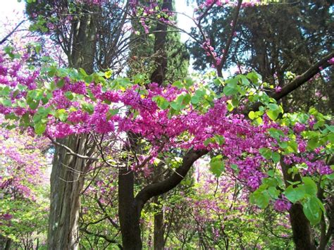 Луд на шаренко се радва Разни хора разни