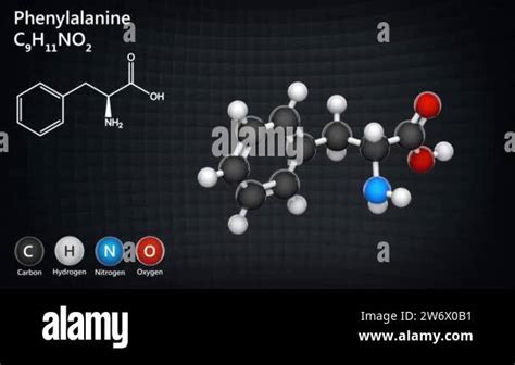 Phenylalanine Symbol Phe Or F Is An Essential Amino Acid With The