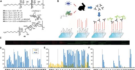 Ta Microarrays A Previously Synthesized Ta Fragments B Schematic