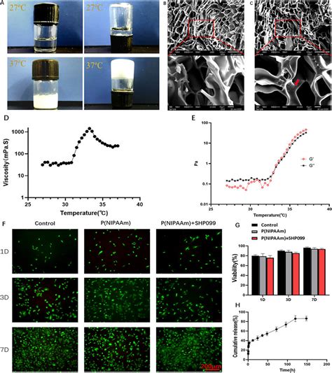 Injectable Thermosensitive Hydrogel For Delivery And Controlled Release