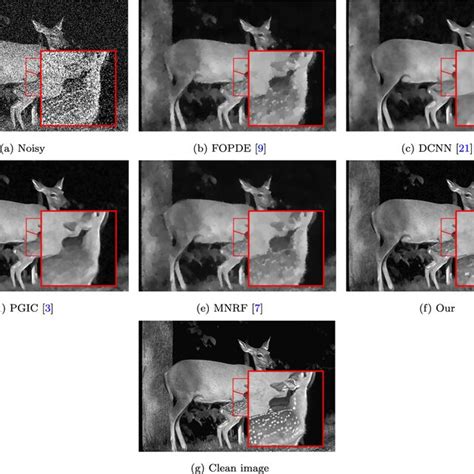 Denoising Of Circle Using Different Denoising Approaches Download Scientific Diagram