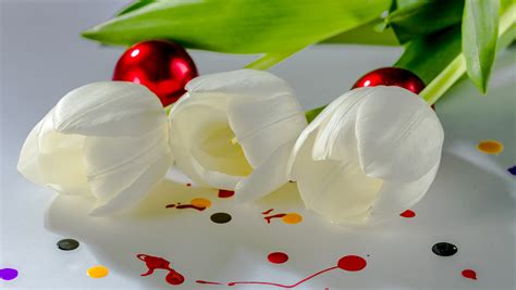 Spots On By Ron Fredericks 500px