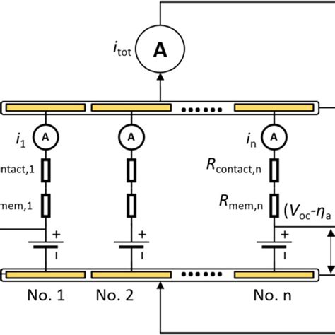 An Equivalent Circuit Considering Contact Resistance And Membrane Ohmic Download Scientific