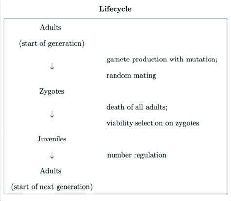 the discrete generation lifecycle employed in this work download