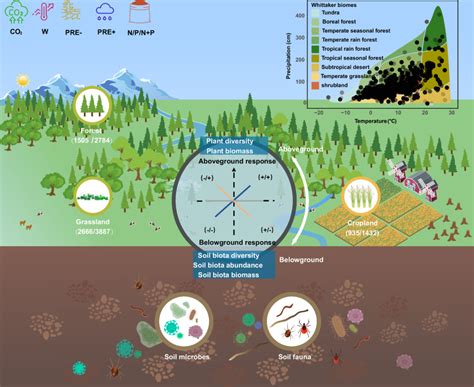 方精云院士团队发现陆地生态系统植物和土壤生物对全球变化响应的解耦合关系