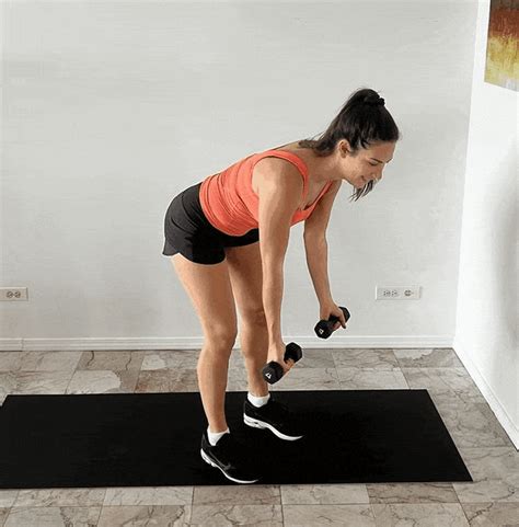 Lower Back Exercises Dumbbells