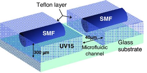 A Top Schematic Representation Of The Single Beam Fluid Mach Zehnder