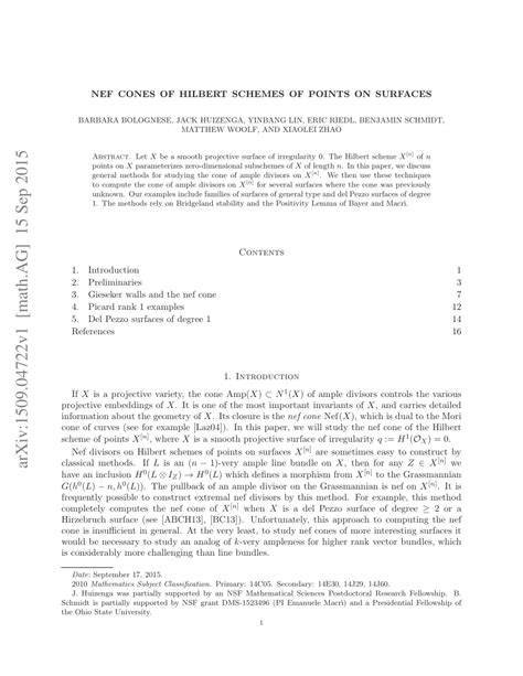 Pdf Nef Cones Of Hilbert Schemes Of Points On Surfaces