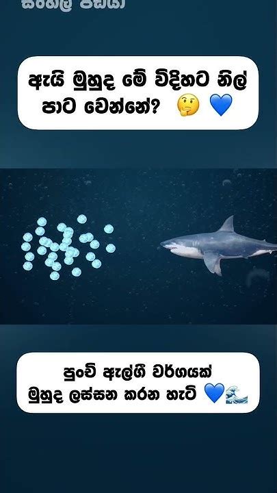 ඇයි මුහුද මෙහෙම වෙන්නේ 💙🤔 Youtube